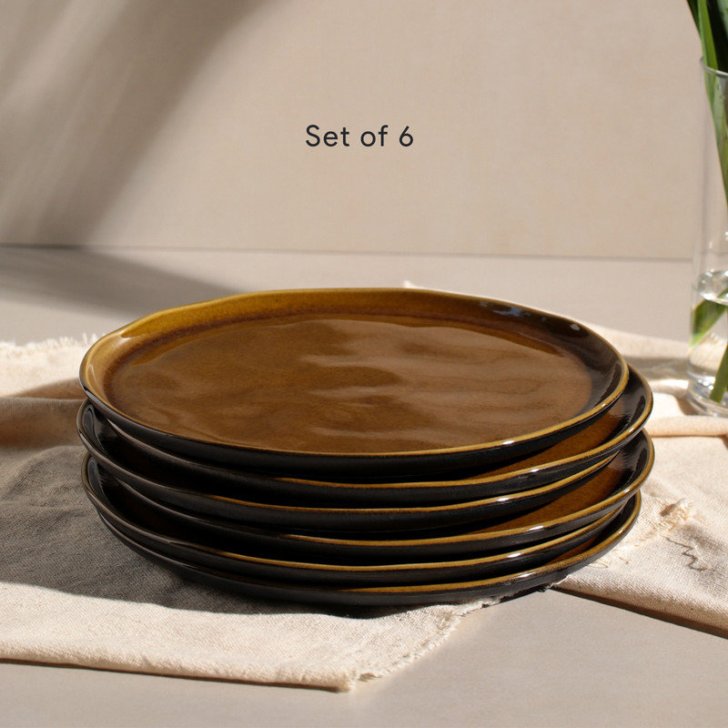Porto Brasil Bio Stoneware Ambar Dinner Plate, 10.8" (Set Of 6) | Wayfair