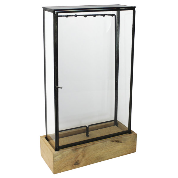 AREOhome Display Cases | Wayfair