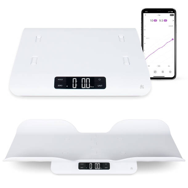 Kitrics Nutrition Label Scale & Reviews | Wayfair
