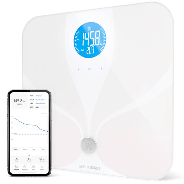 Kitrics Nutrition Label Scale & Reviews | Wayfair
