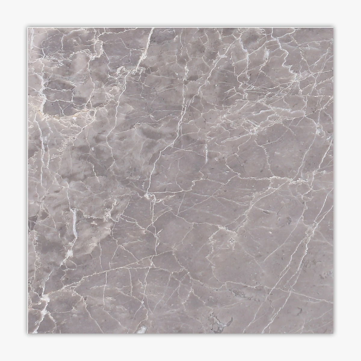 Direct Stone Source 12" x 12" Marble Look Wall & Floor Tile | Wayfair
