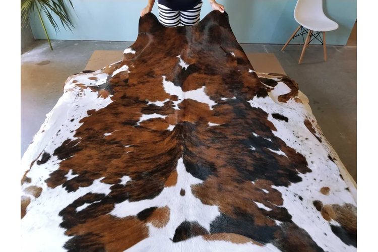 Cleaning 101: How to Clean an Area Rug | Wayfair