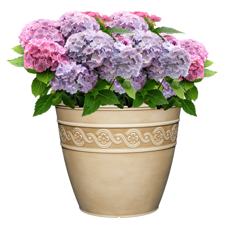 Fleur De Lis Living Theroux Stone Dust, Resin and Silicon Pot Planter ...