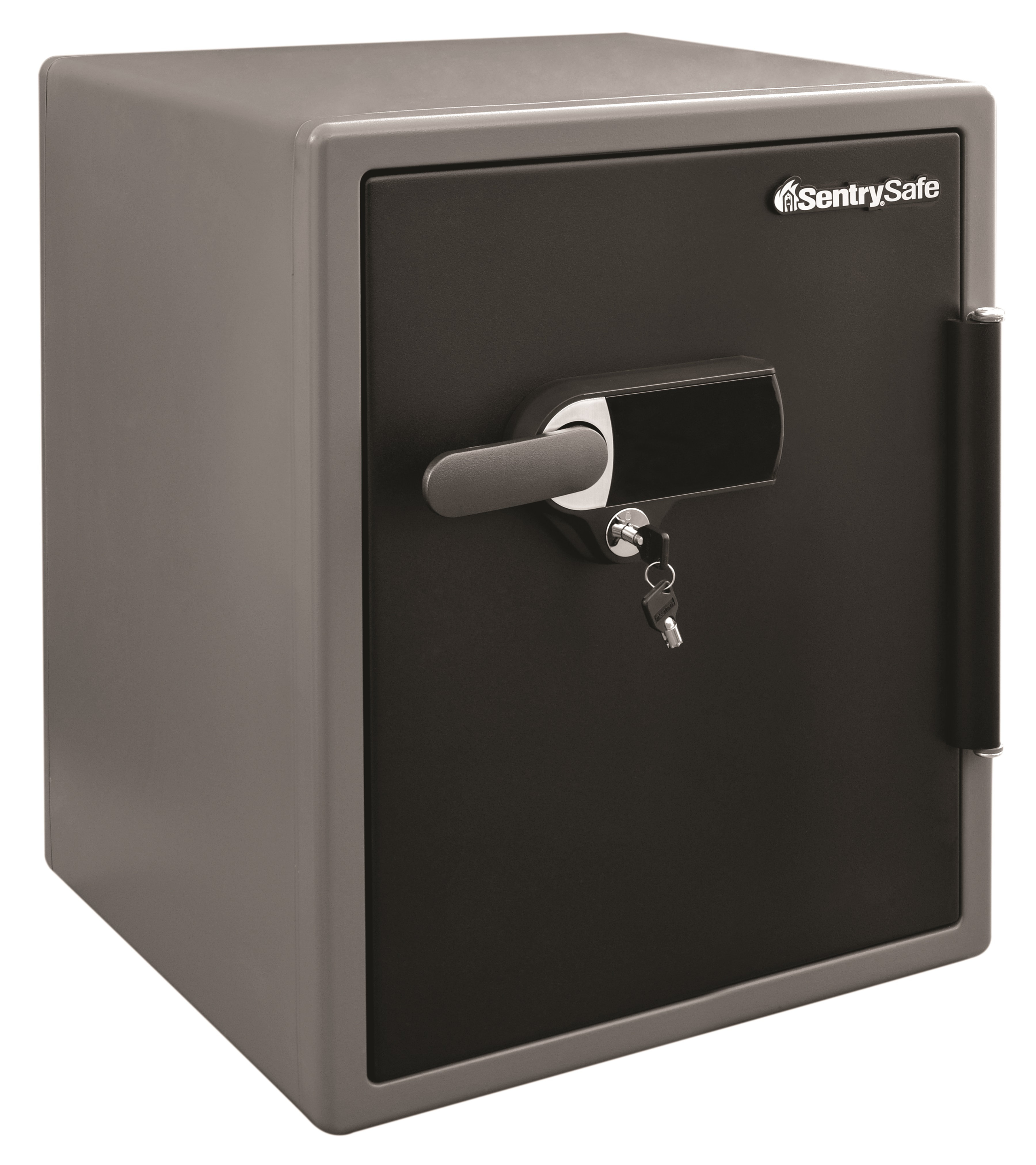 SentrySafe Security Safe with Dual Lock & Reviews | Wayfair