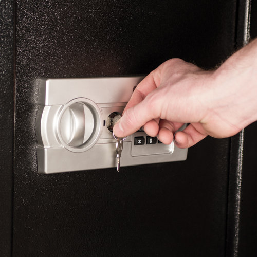 Tracker Safe Steel Wall Safe with Electronic Lock & Reviews | Wayfair