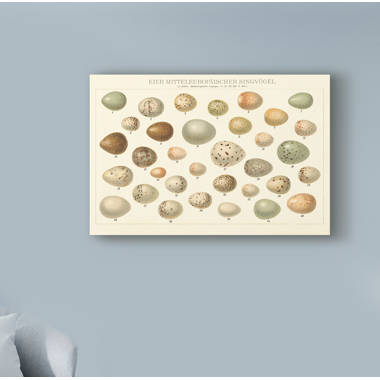 Bless international Songbird Egg Chart On Canvas by Wild Apple ...