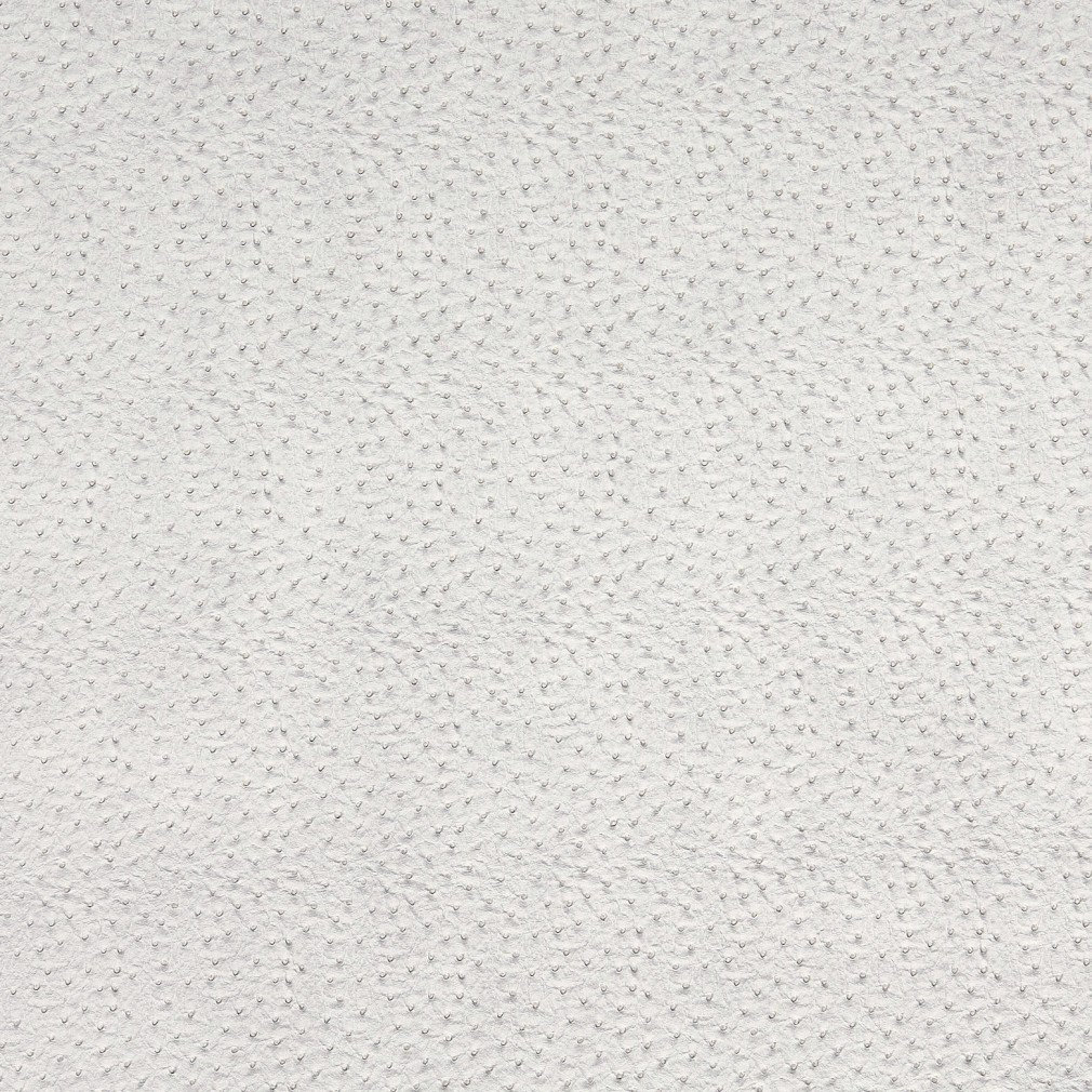 Wildon Home® Ostrich Vinyl & Reviews | Wayfair