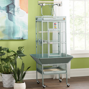 Wayfair | Large Bird Cages