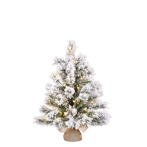 The Seasonal Aisle 60Cm Lighted Artificial Pine Christmas Tree ...