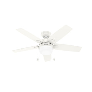 Wayfair | White & Cream Ceiling Fans With Lights You'll Love in 2023