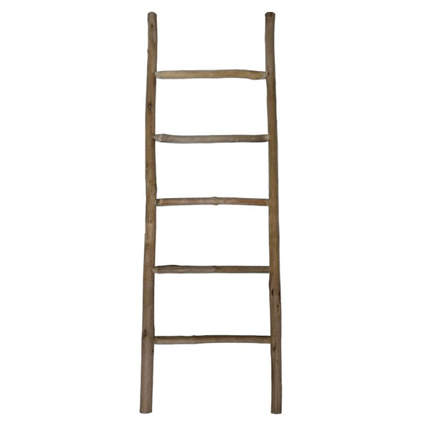 Union Rustic Rustic Wooden Ladder 150" H Blanket Ladder | Wayfair.co.uk