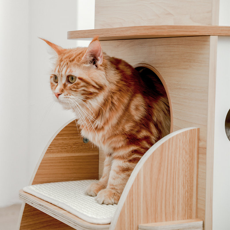 Tucker Murphy Pet™ 54'' Rocket Multi-level Cat Tree | Wayfair