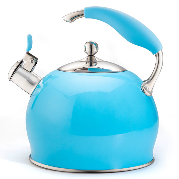 Heavy-duty-tea-kettle | Wayfair