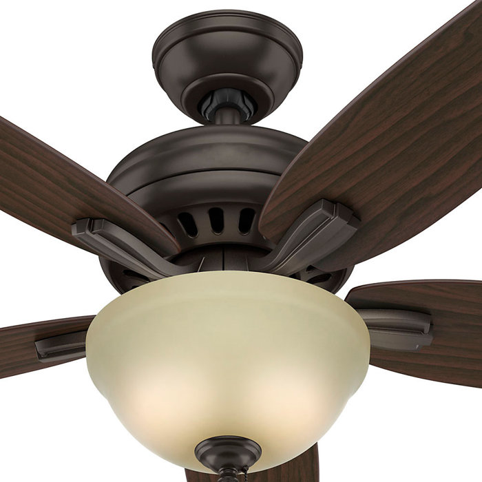Hunter Fan 52" Newsome 5 - Blade Standard Ceiling Fan with Pull Chain ...
