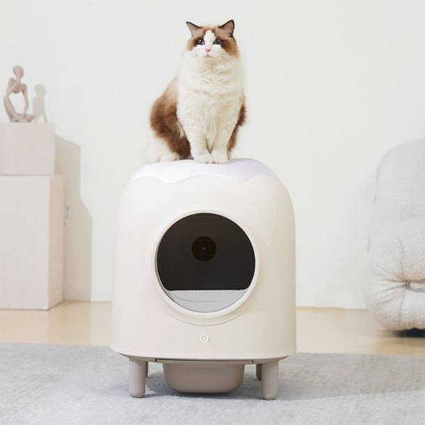Pawple Pets Pet Automatic Feeder & Reviews | Wayfair