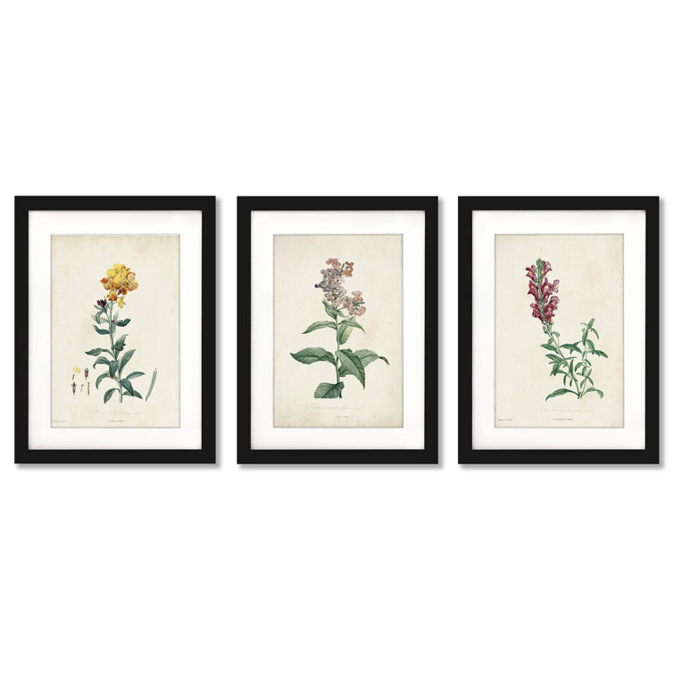 Red Barrel Studio® Traditional Botanicals by Victoria Barnes - 3 Piece ...