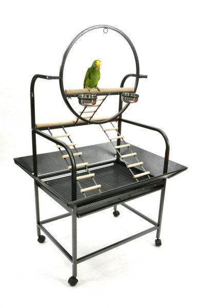 Tucker Murphy Pet™ Chand One-of-a-Kind 64'' Metal Bird Perch for Floor ...