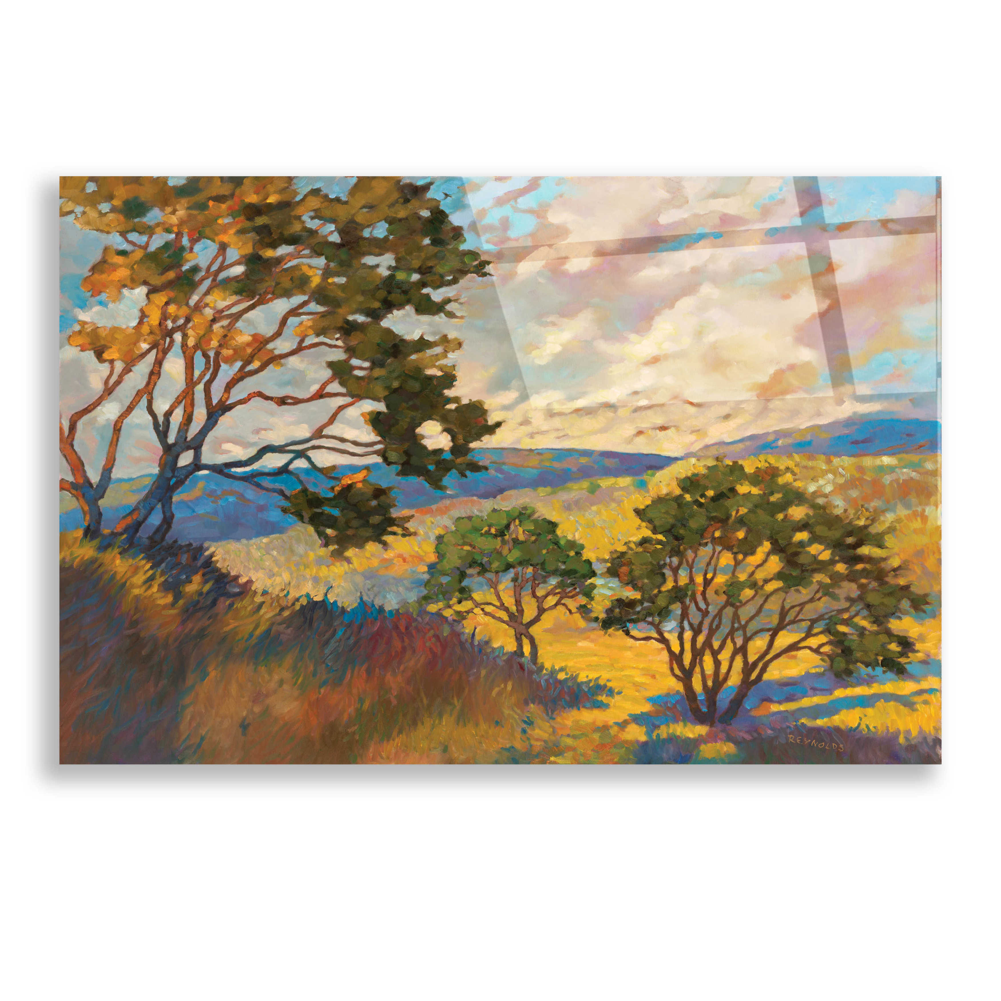 Red Barrel Studio® Wide Horizons 1 On Plastic/Acrylic by Graham ...