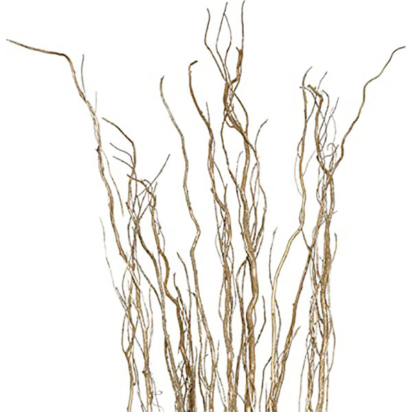 Primrue Curly Willow Bush | Wayfair
