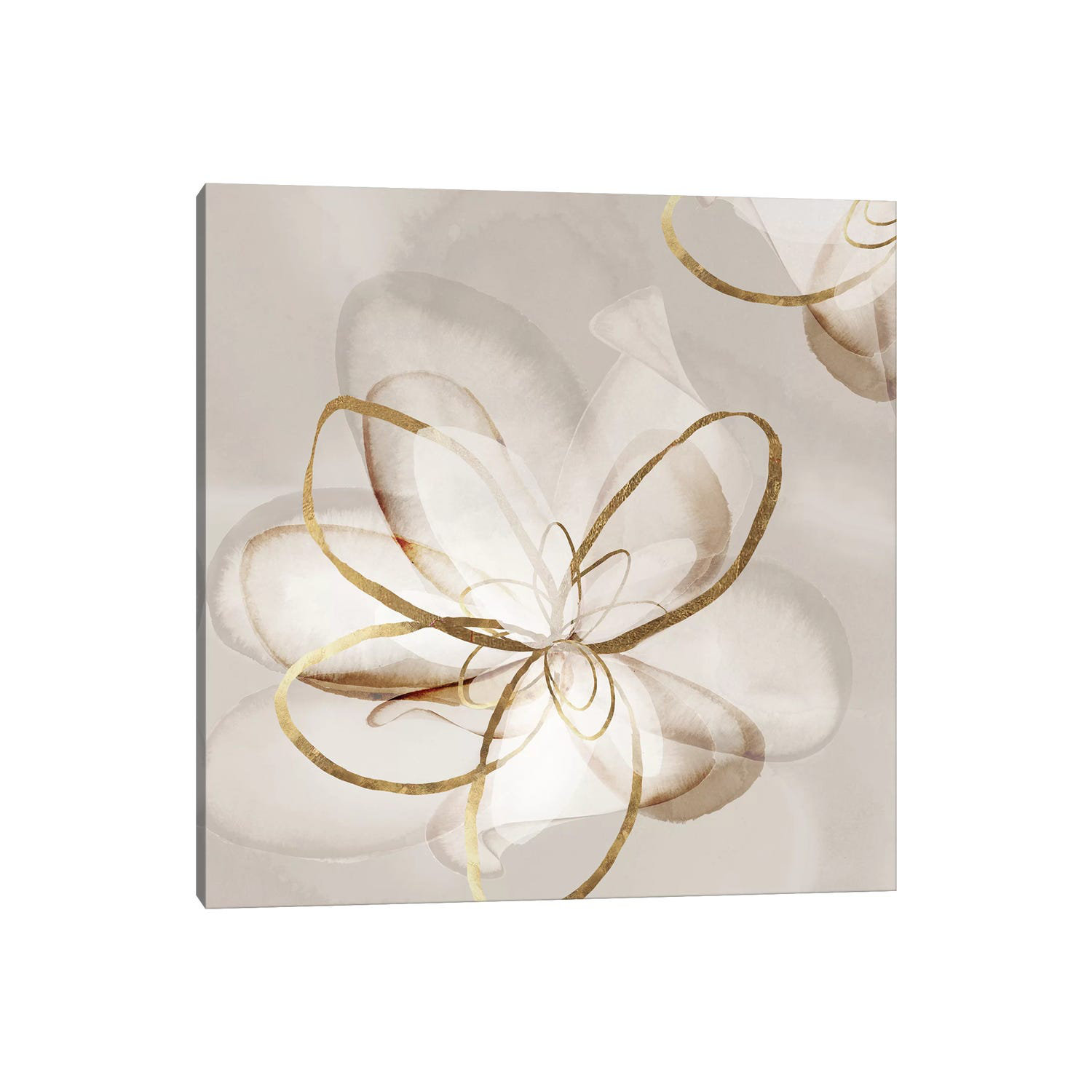 East Urban Home Transparent Beauty II by Eva Watts - Print | Wayfair