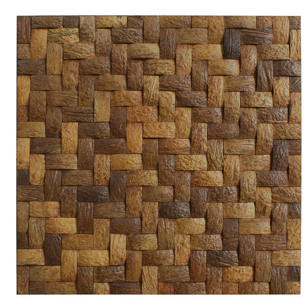 Ecotessa Kelapa Coconut Shell Mosaic Tile in Brown Bliss | Wayfair
