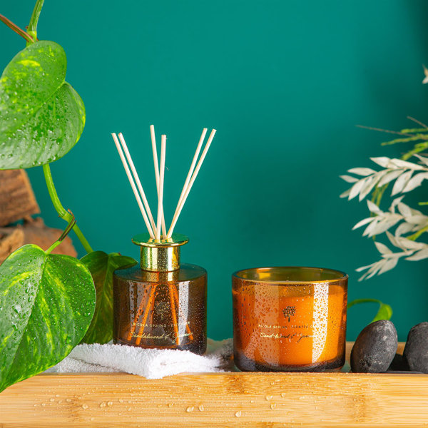 Nicola Spring Jar Candle & Reed Diffuser Set | Wayfair.co.uk