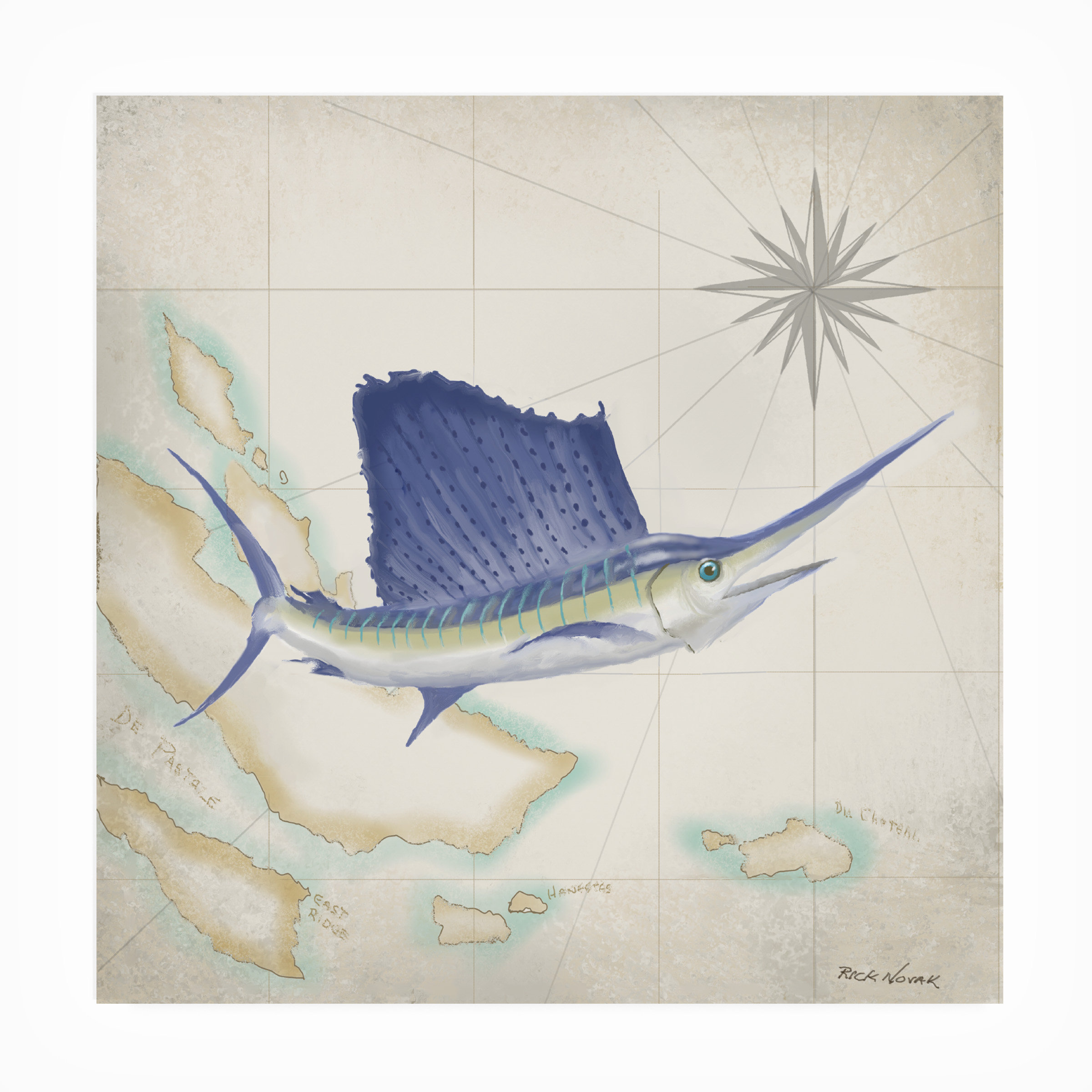 Dovecove Rebekah Rick Novak 'Sailfish Map II' Outdoor Canvas | Wayfair