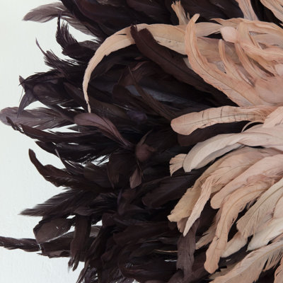 Rosdorf Park Juju Hat Feather Wall Décor & Reviews | Wayfair