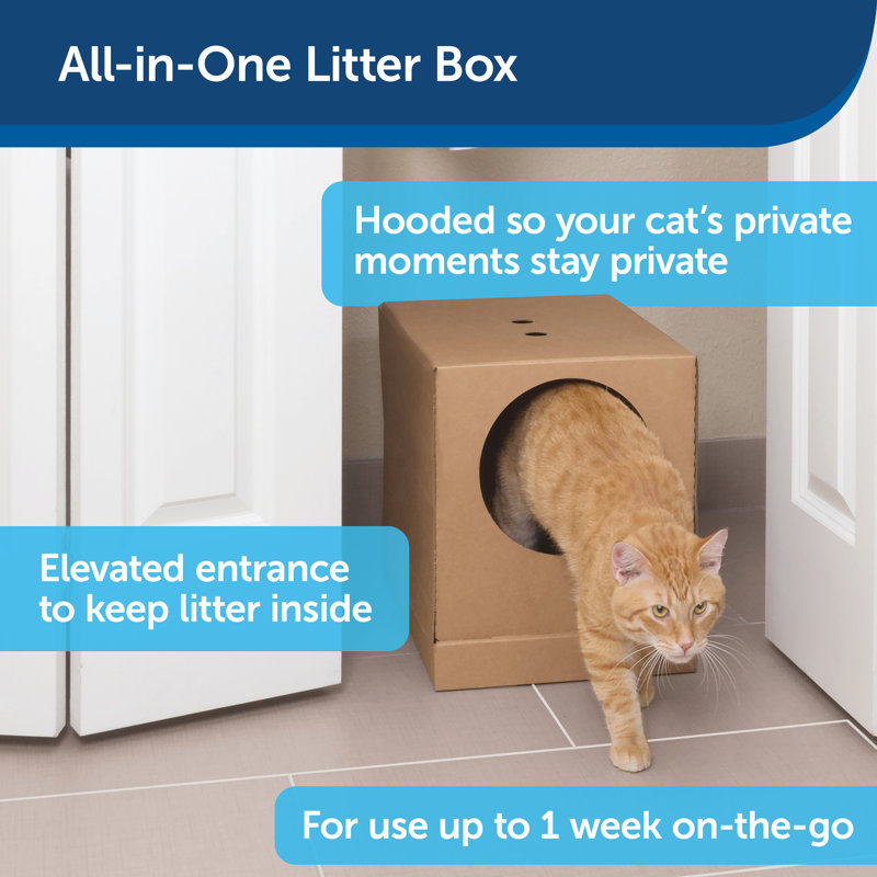 PetSafe® Disposable Standard Litter Box & Reviews | Wayfair