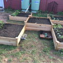 Greenes Fence Jaxon 12 ft x 12 ft Cedar Raised Garden & Reviews | Wayfair