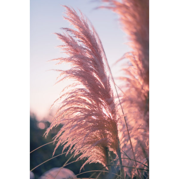 Ebern Designs Cima Blurred Floral Background - Wrapped Canvas ...