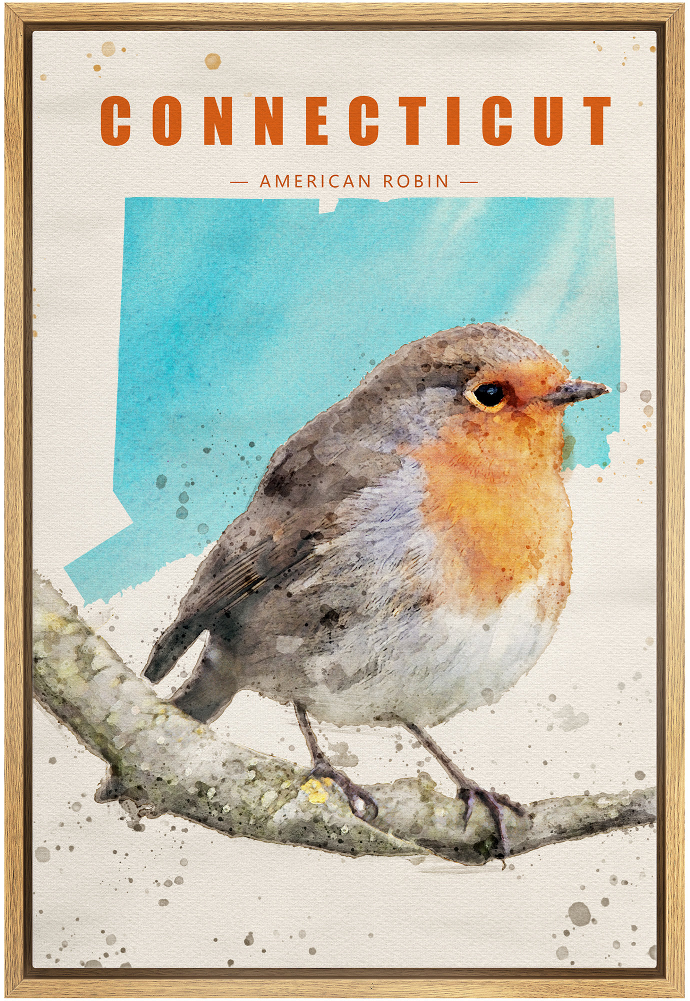 IDEA4WALL Connecticut American Robin Bird - Floater Frame Drawing Print ...