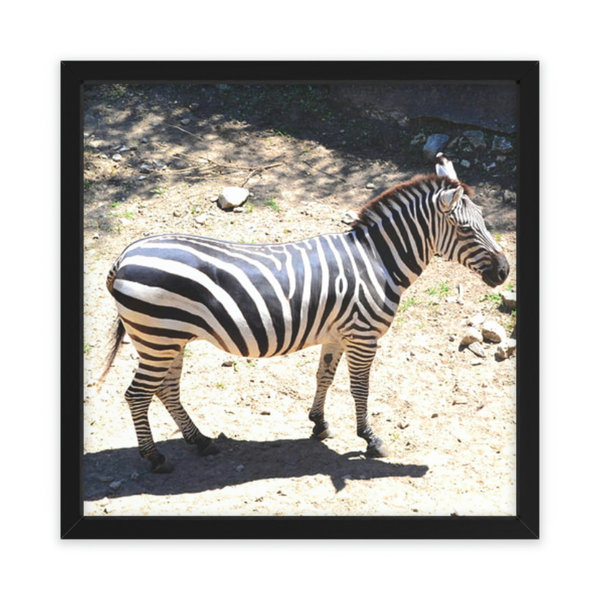 Dakota Fields Zebra - Picture Frame Illustration | Wayfair
