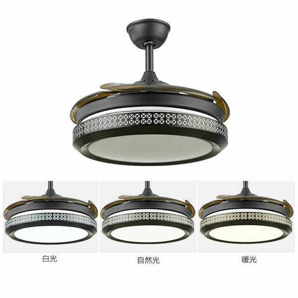 Red Barrel Studio® 42'' Ceiling Fan with LED Lights & Reviews | Wayfair