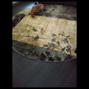 Red Barrel Studio® Jaidan Abstract Beige Area Rug & Reviews | Wayfair