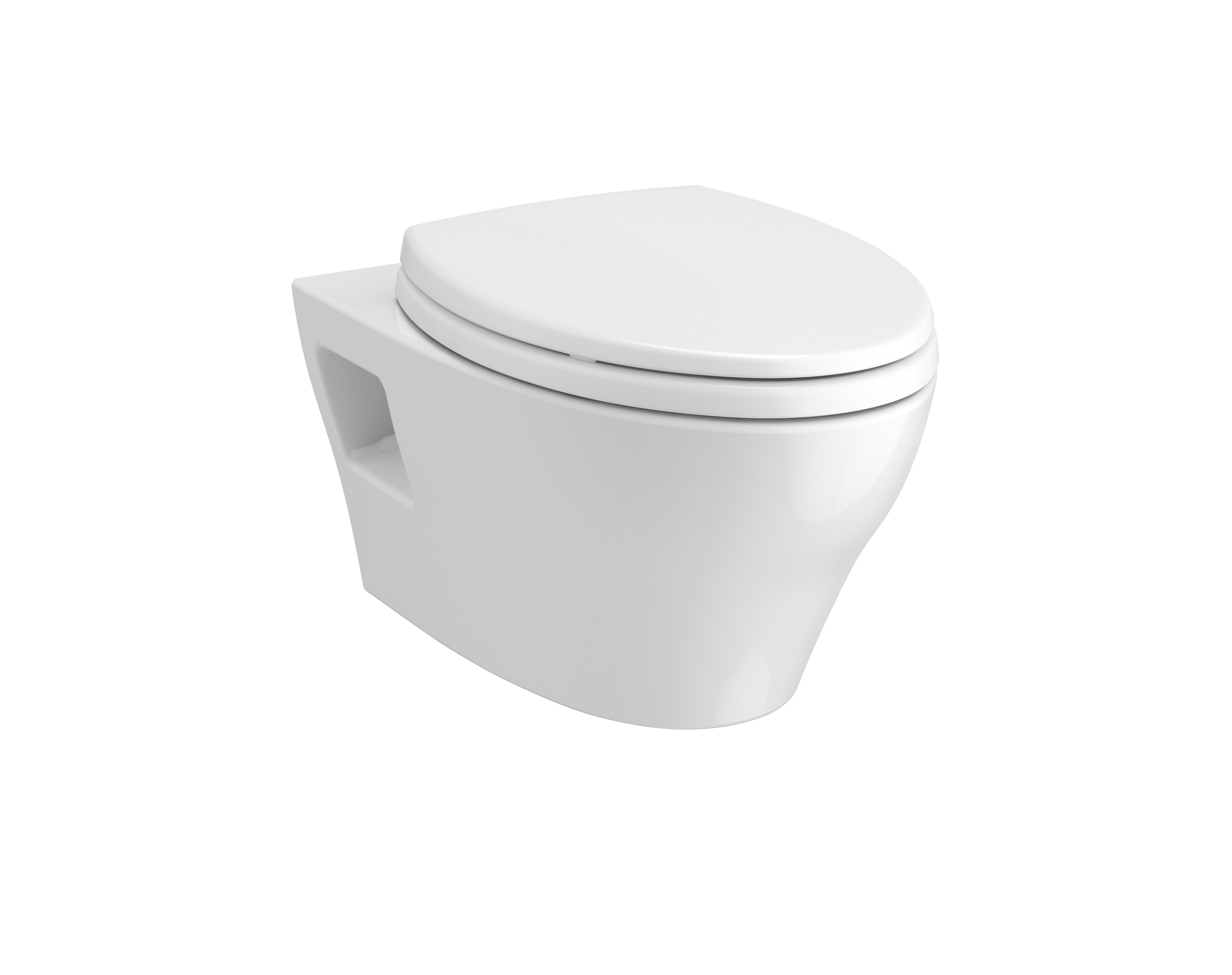 TOTO Dual-Flush Elongated Wall-Mounted with High Efficiency Flush (Seat ...