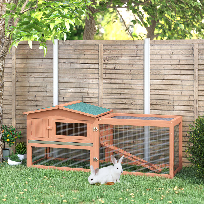 Tucker Murphy Pet™ Heller Weather Resistant Hutch with Ramp & Reviews ...