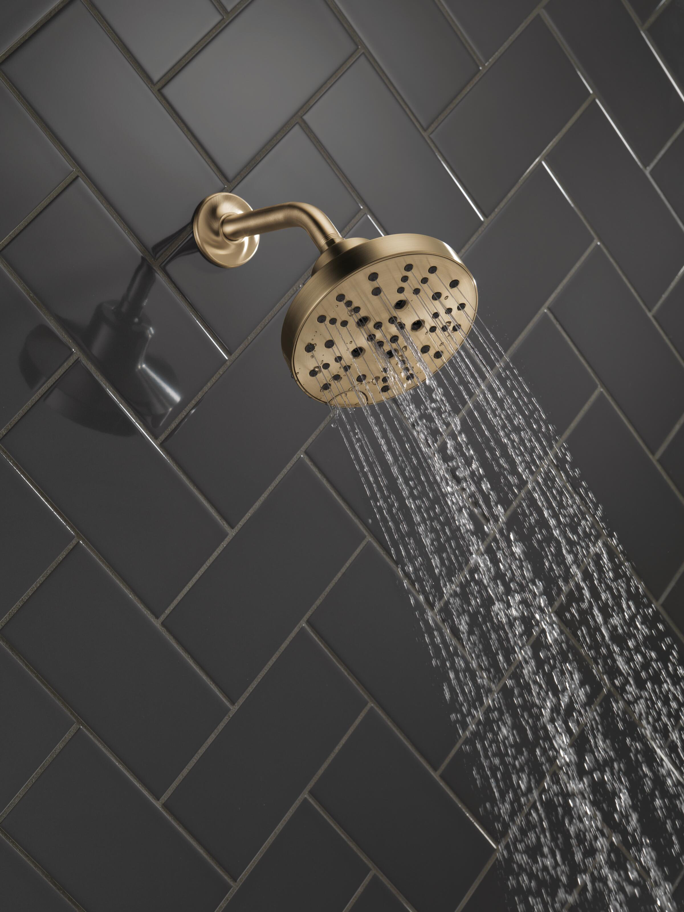 Delta Multi-Function Adjustable Shower Head & Reviews | Wayfair