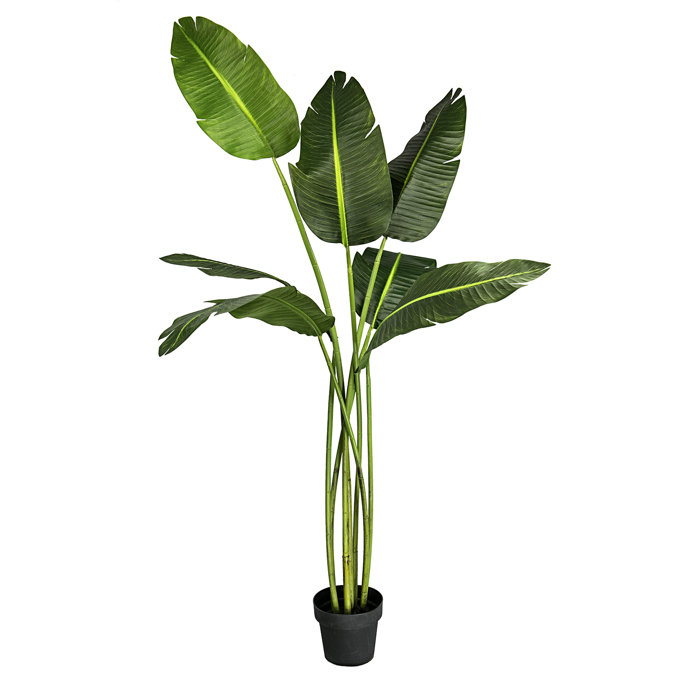 Birch Lane™ 78'' Faux Banana Leaf Tree in Pot & Reviews | Wayfair