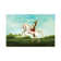 Maturi Sir Weasel's Advance | Wayfair.co.uk