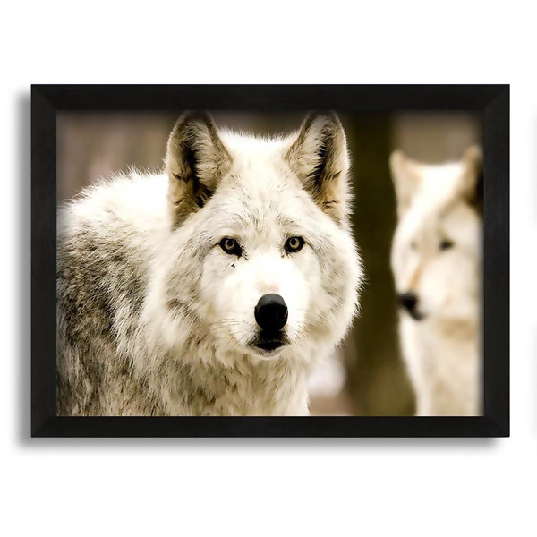 Alpen Home White Wolf - Picture Frame Photograph on Canvas | Wayfair.co.uk