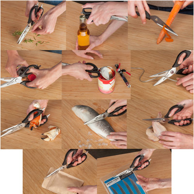 Ergo Chef Pro-Series Pull Apart All-Purpose Kitchen Scissors & Reviews ...