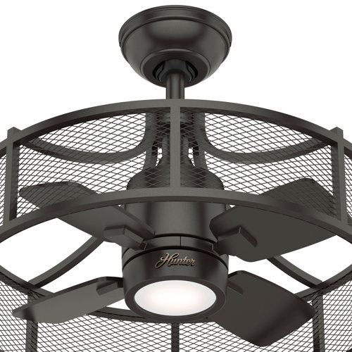 Hunter Fan 24" Seattle 4 - Blade Caged Ceiling Fan with Wall Control ...