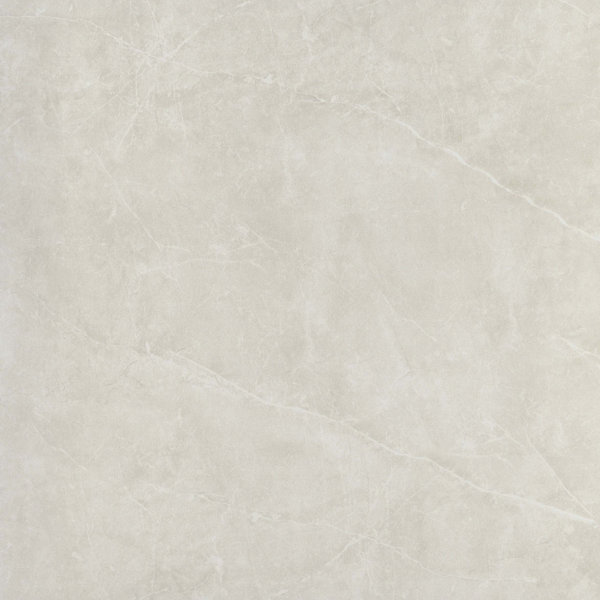 D2488 | Wayfair