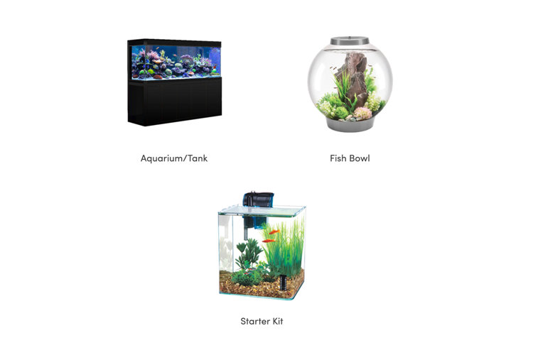 Fish Tank Sizes & Types: How to Choose the Right Aquarium | Wayfair