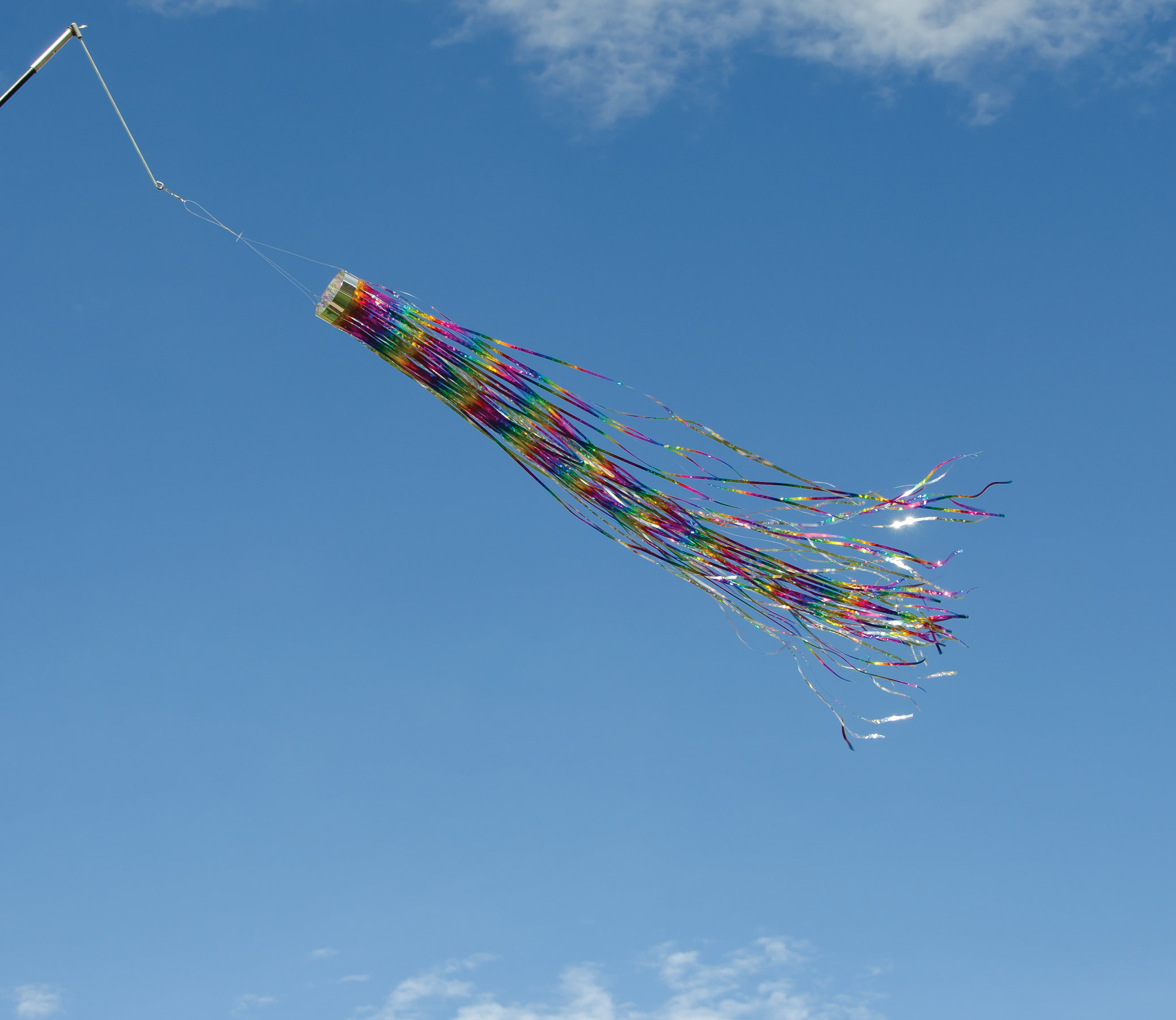 Arlmont & Co. Holographic Mylar Windsock | Wayfair