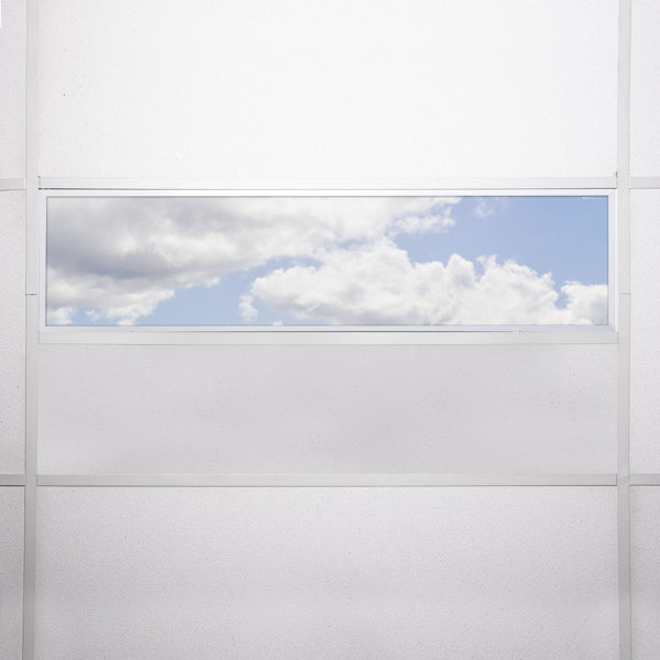 Octo Lights Clouds Flexible Decorative Light Cover | Wayfair