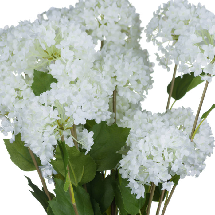Hill Interiors Viburnum Opulus Flower | Wayfair.co.uk
