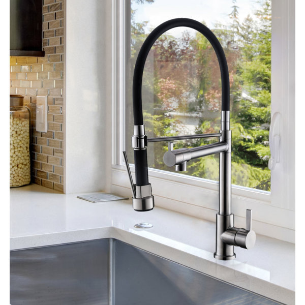 RAEN Lilac Pull Down Kitchen Faucet & Reviews | Wayfair