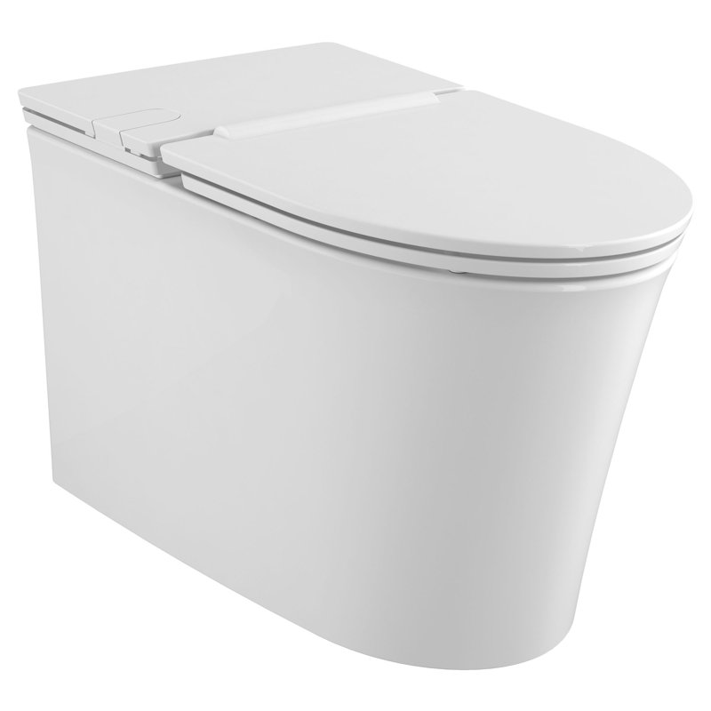 American Standard Studio S Low Profile Toilet with Toilet Seat ...